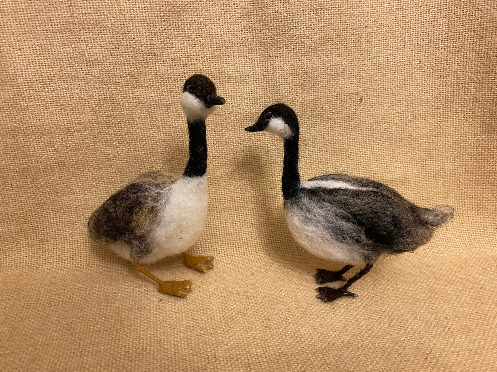 Goose, Needle Felted, Made to Order Canadian Goose, One Bird, Realistic ...