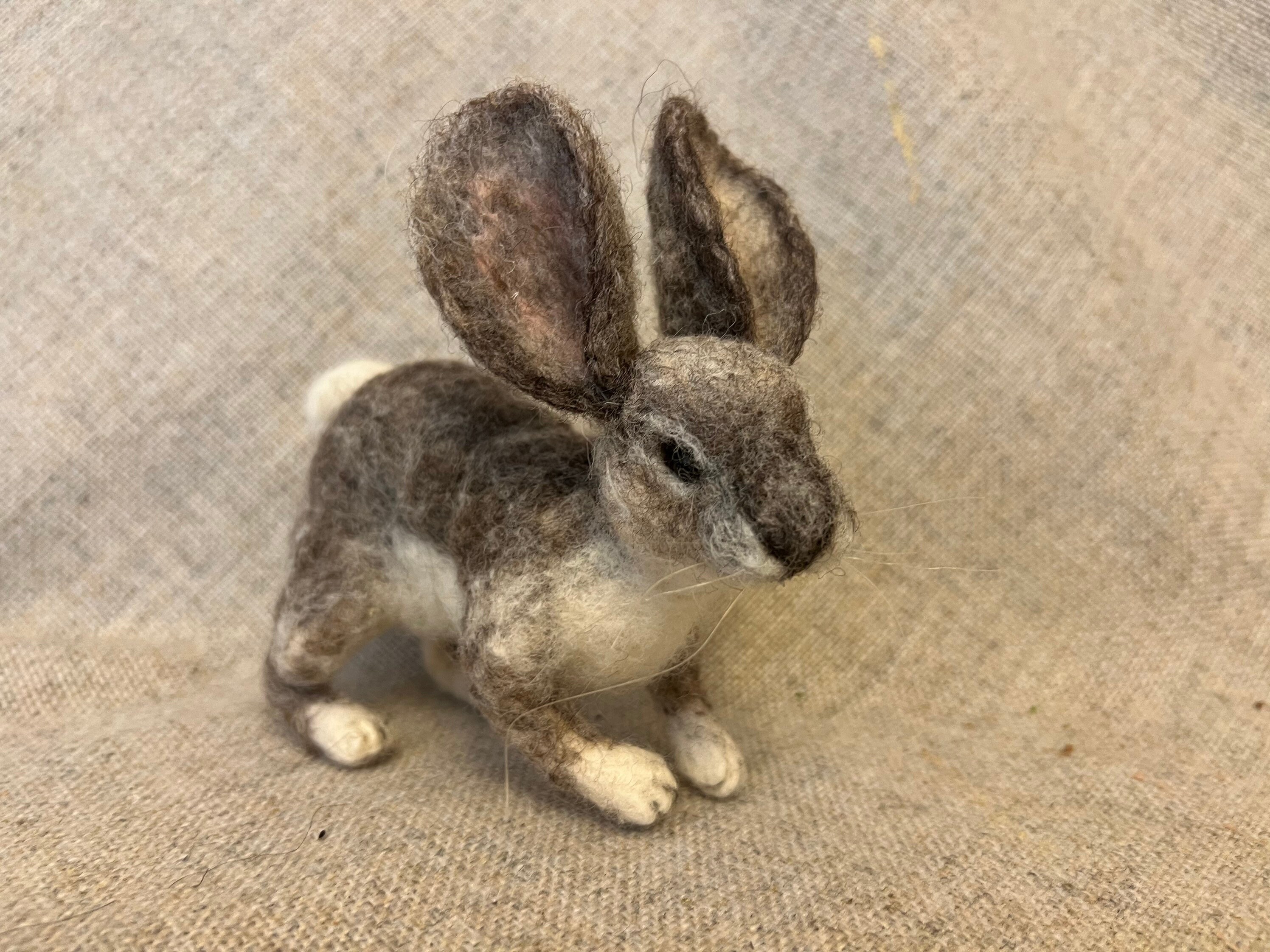 Needle Felted Cottontail Rabbit, Ready to Ship - Etsy