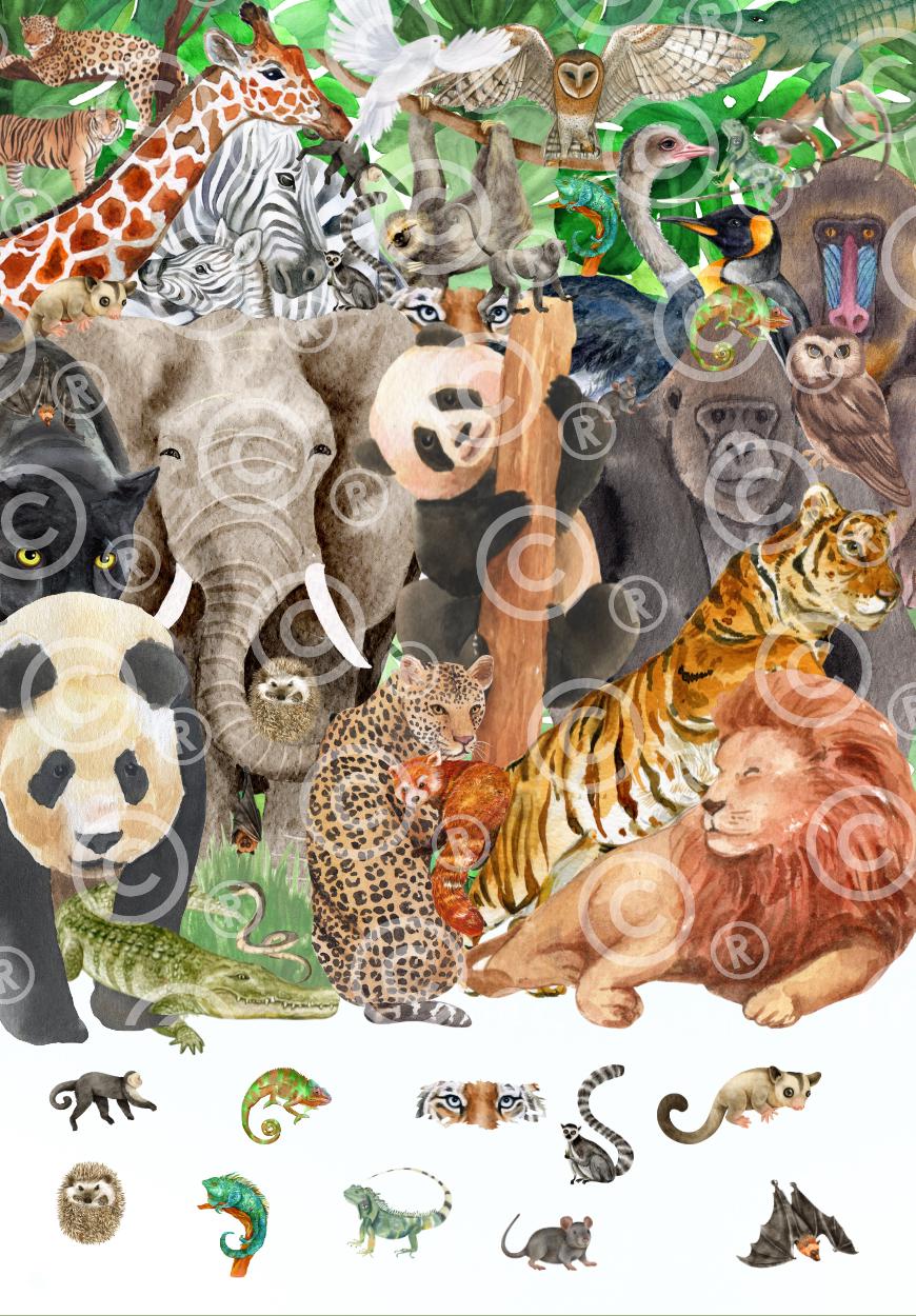 Find the Hidden Pictures Printable Series 2 - Animal Safari - Etsy