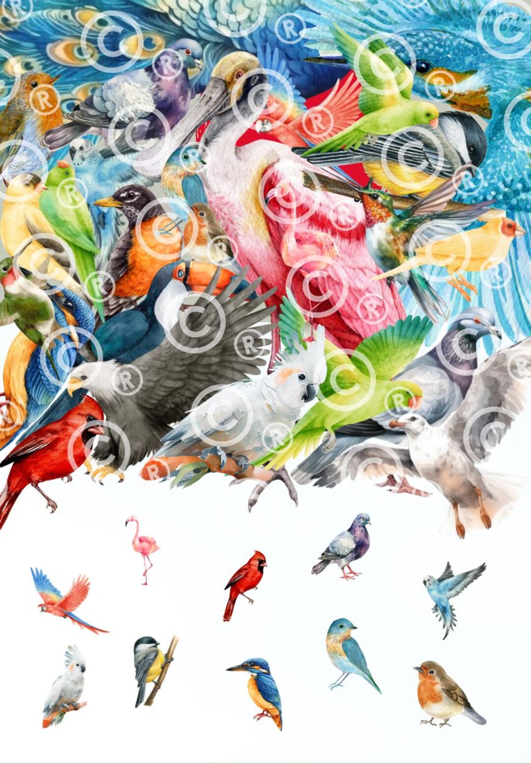 Find the Hidden Pictures Printable Series 2 - Animal Safari - Etsy