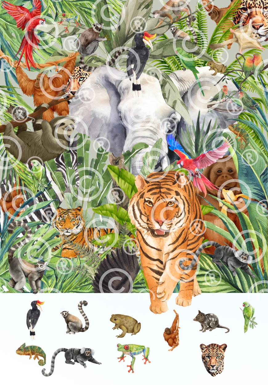 Find the Hidden Pictures Printable Series 2 Animal Safari - Etsy
