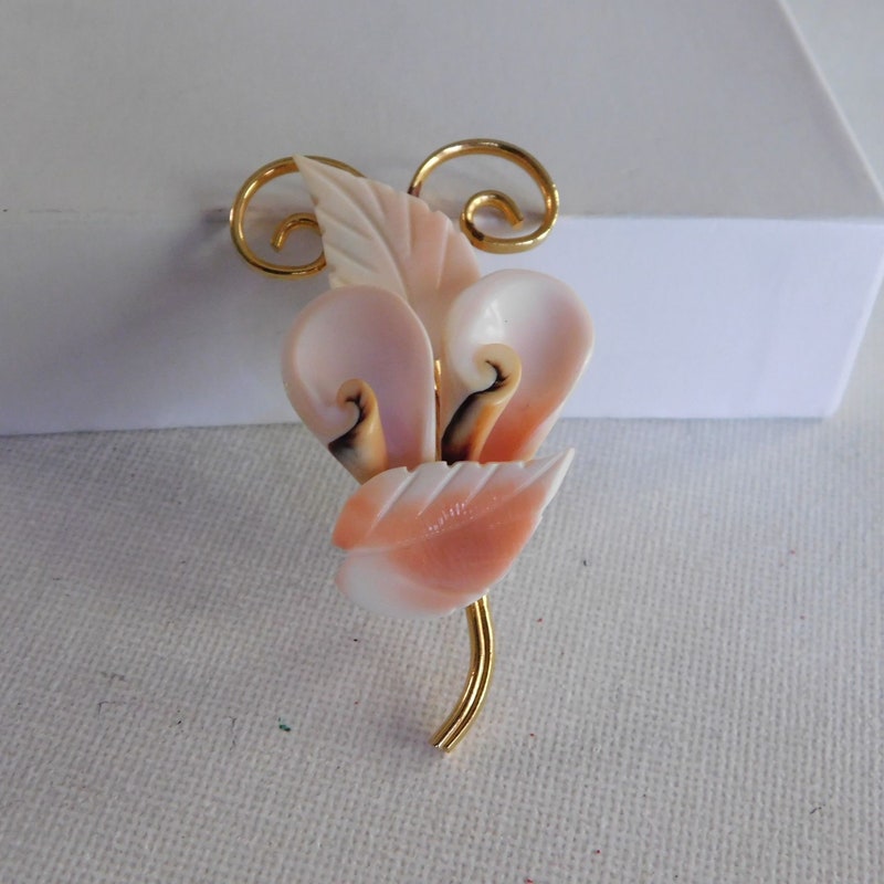 Seashell Pin - Etsy