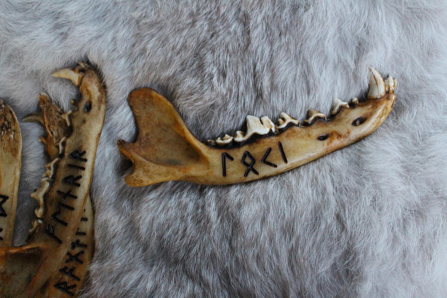 Carved Loki norse jawbone Rune | Etsy