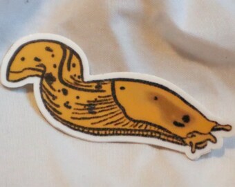 Banana Slug Sticker - Etsy