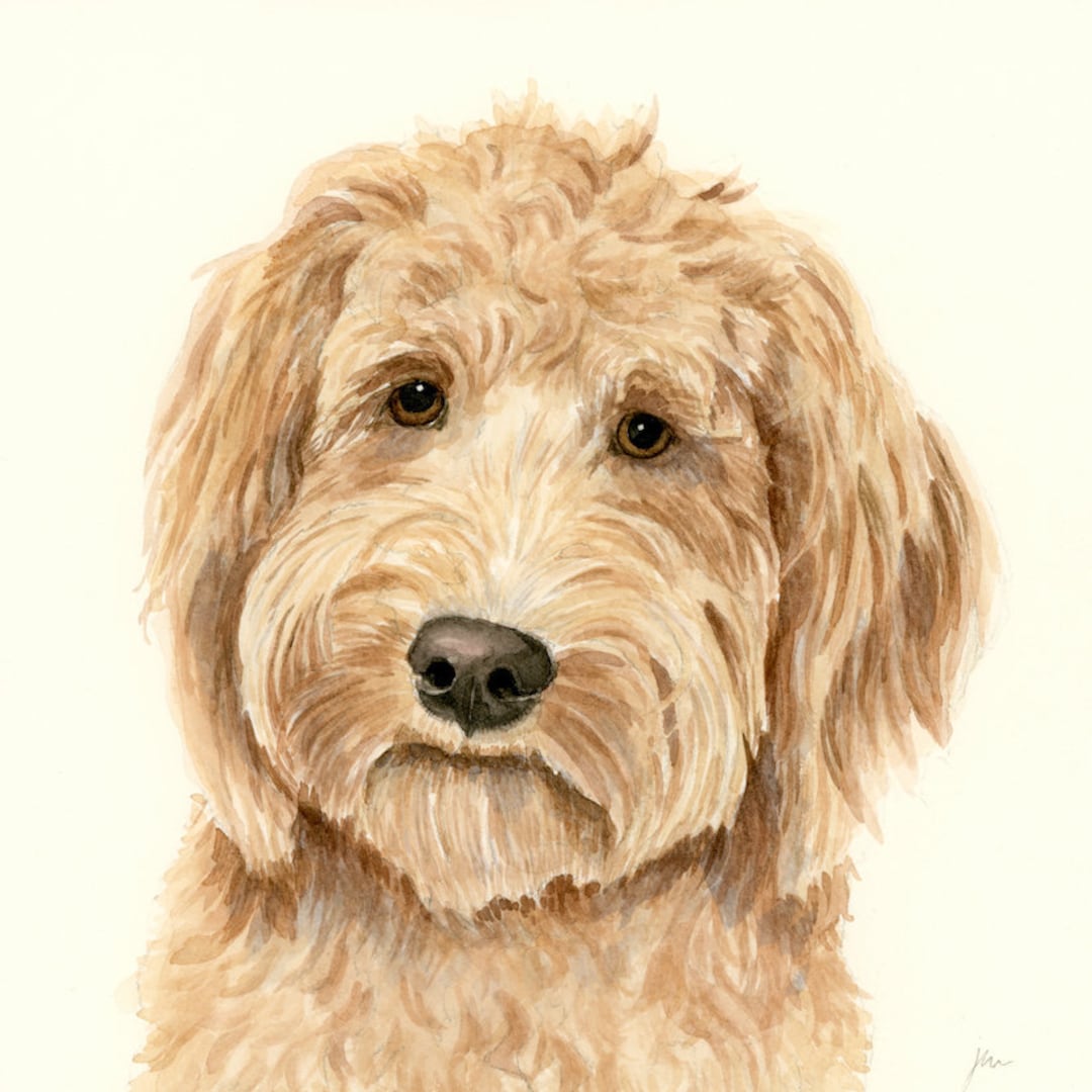 Goldendoodle Portrait, Custom Dog Portrait, Hand Painted, Original ...