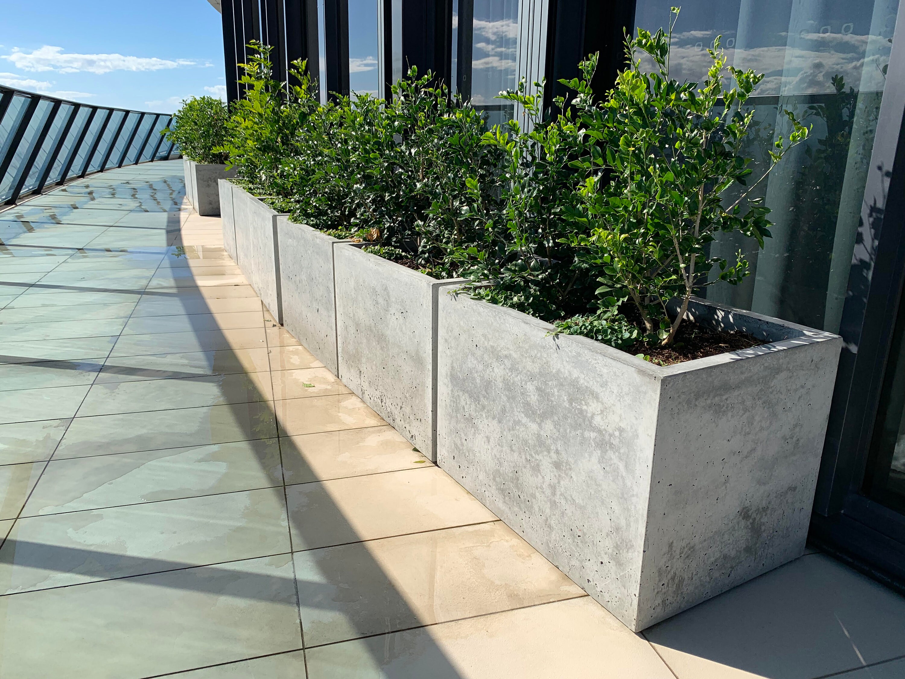 Concrete Planters Ubicaciondepersonas cdmx gob mx