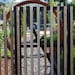 Corten Steel Moon Gate, Huge 2.1m Diameter Landscape Design Piece ...