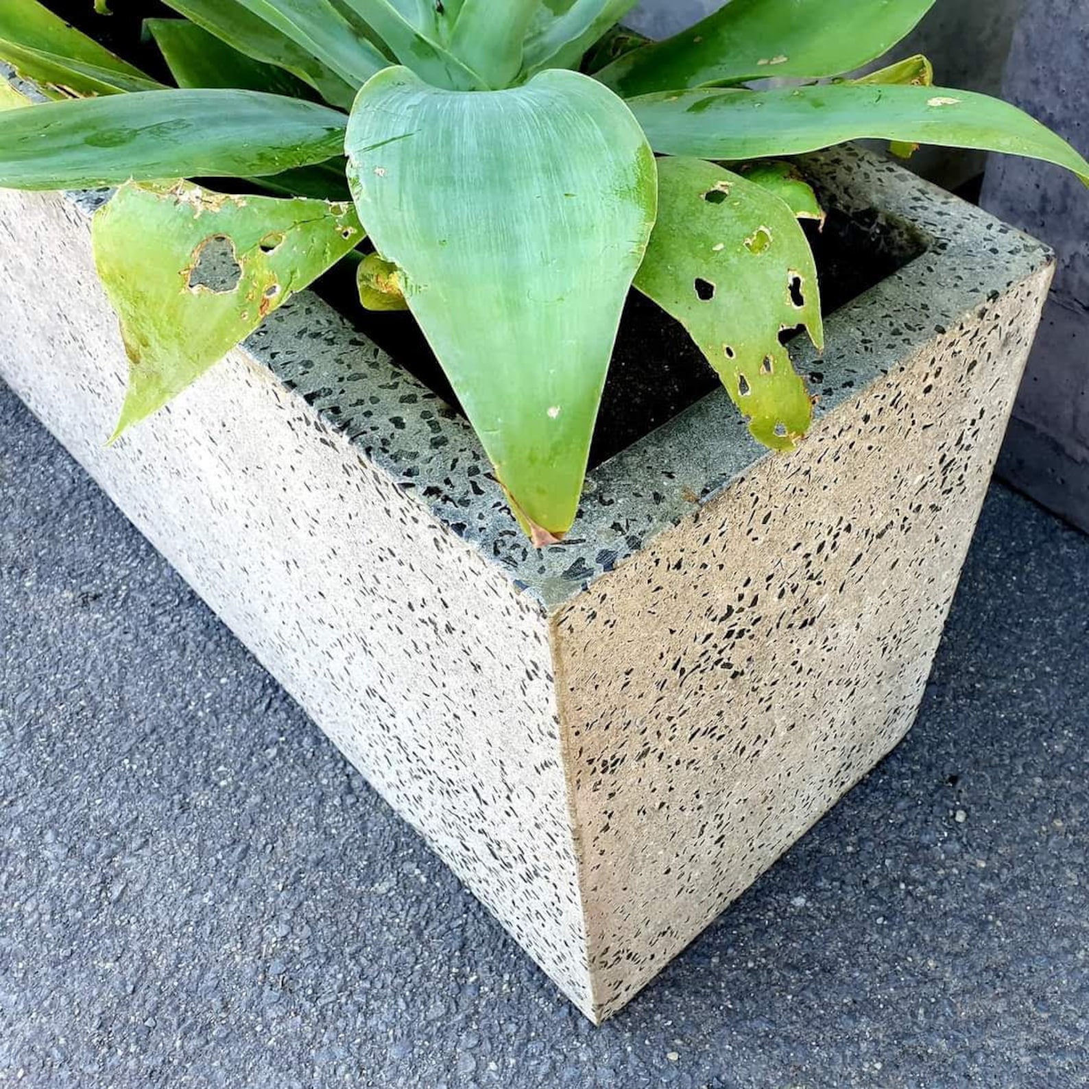 Large Rectangular Concrete Planter Trough, Polished Patio Planter Box ...