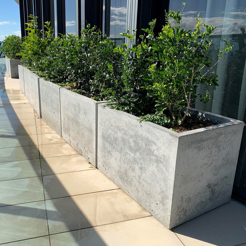 Polished Concrete Planter Large Rectangular 900mm Succulent - Etsy