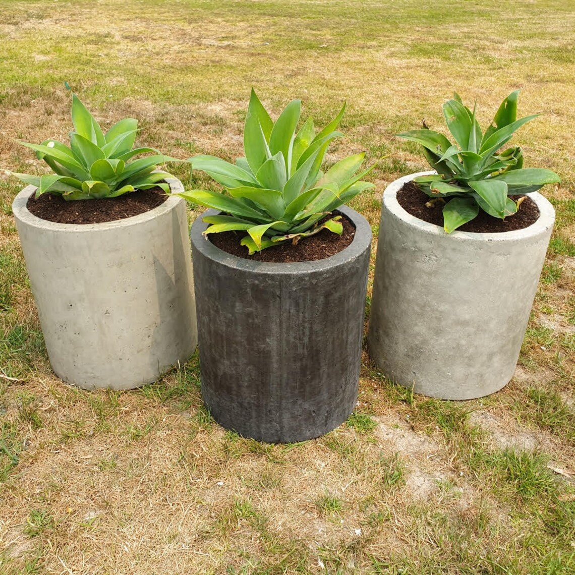 Large Round Concrete Planter 800mm Diameter White Concrete - Etsy Australia