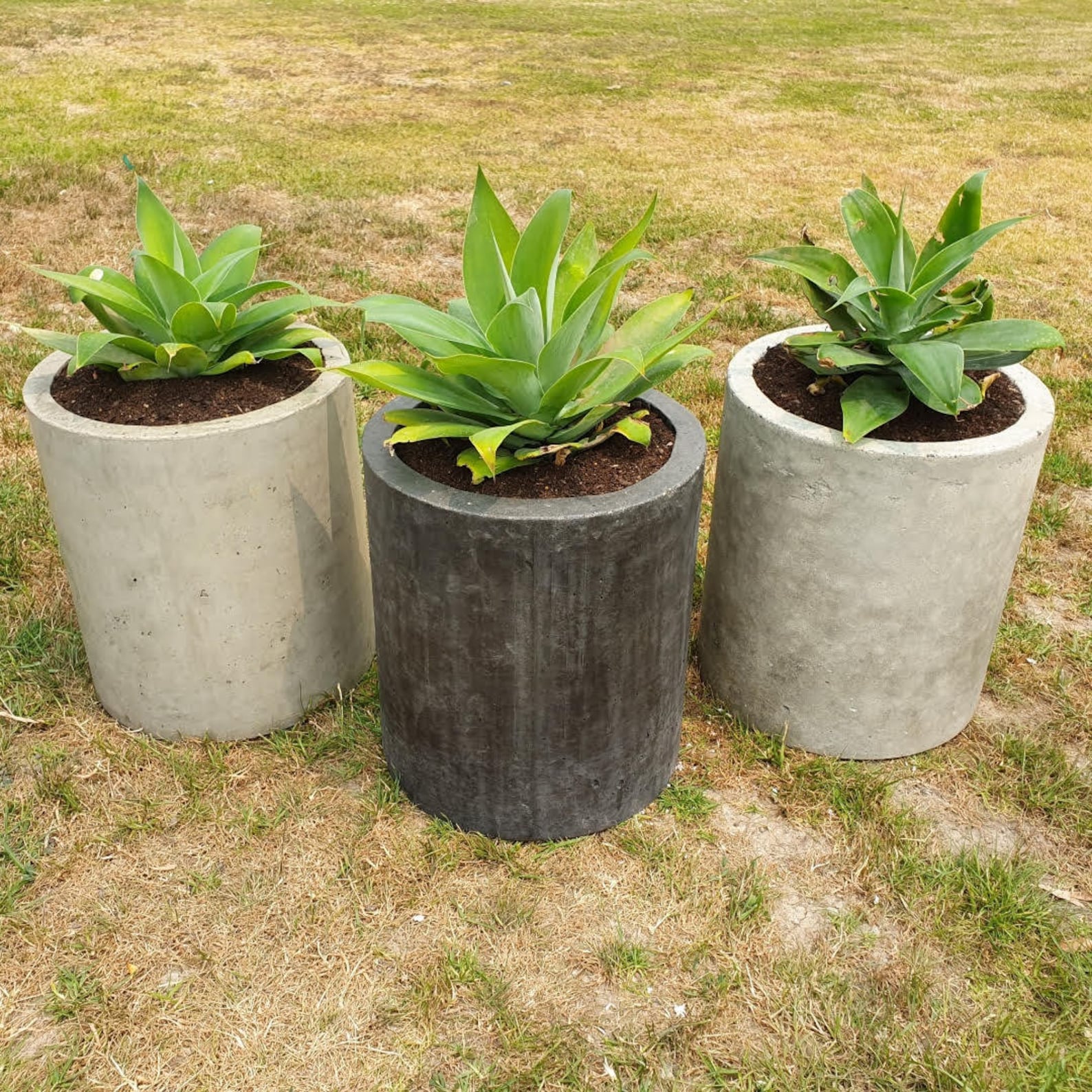 Large Round Concrete Planter 800mm Diameter White Concrete - Etsy