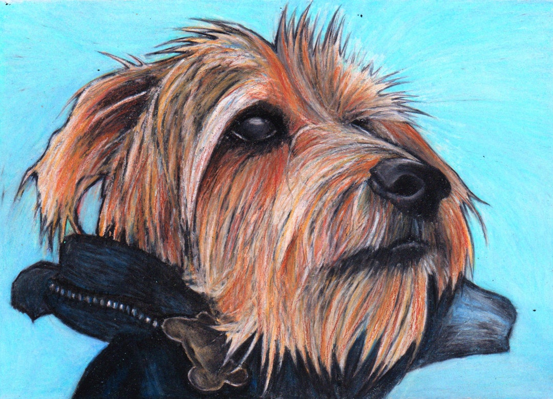Yorkshire Terrier Art Print, Drawing, Yorkie Wall Art, Pet Art, Yorkie ...