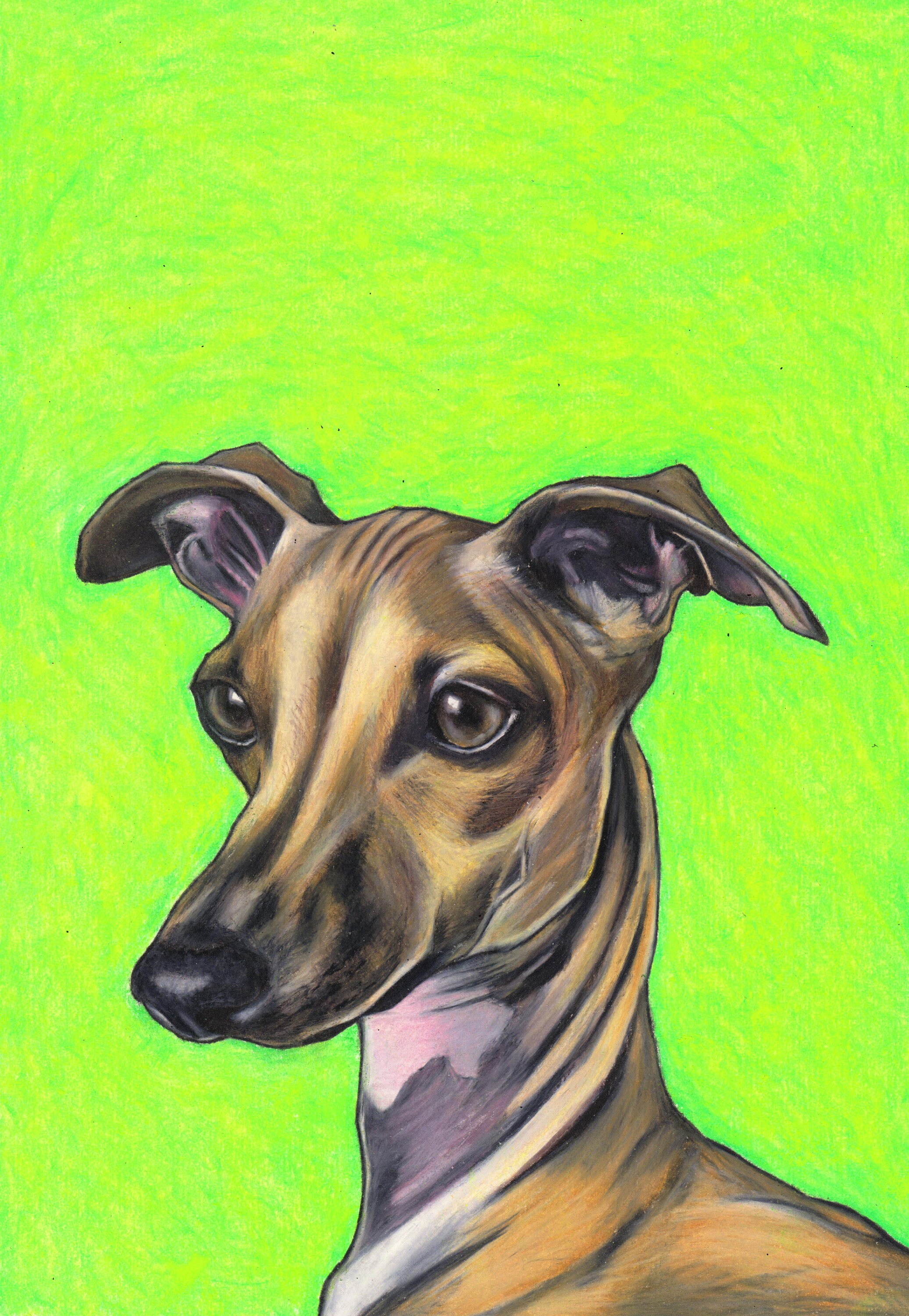 Custom pet portrait drawing Bespoke pet portrait pet | Etsy