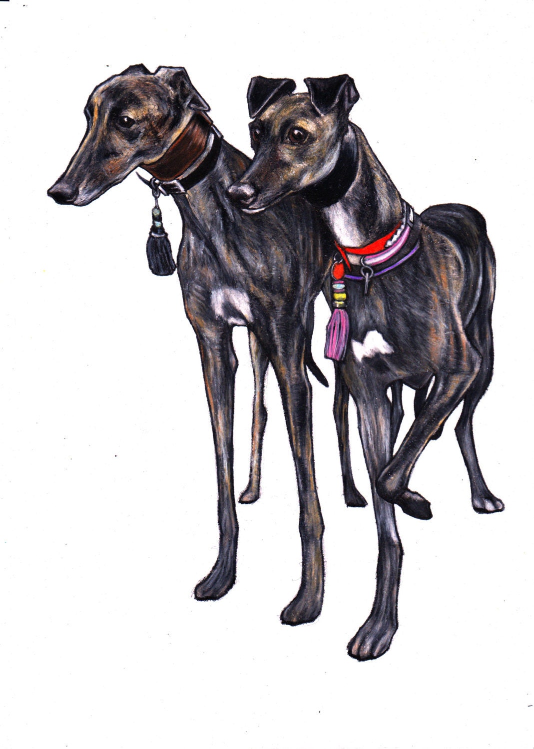 Greyhound drawing limited edition greyhound art print from | Etsy