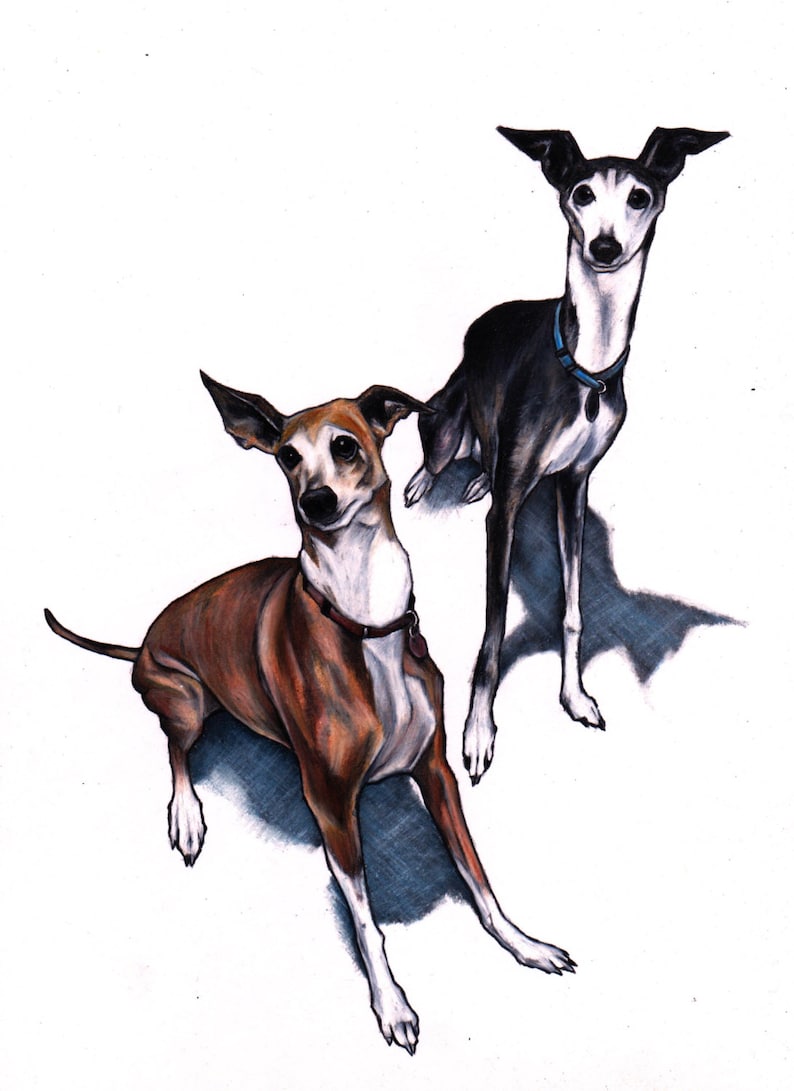 Custom Pet Illustration of 2 X Pets Together From Photo Dogs | Etsy