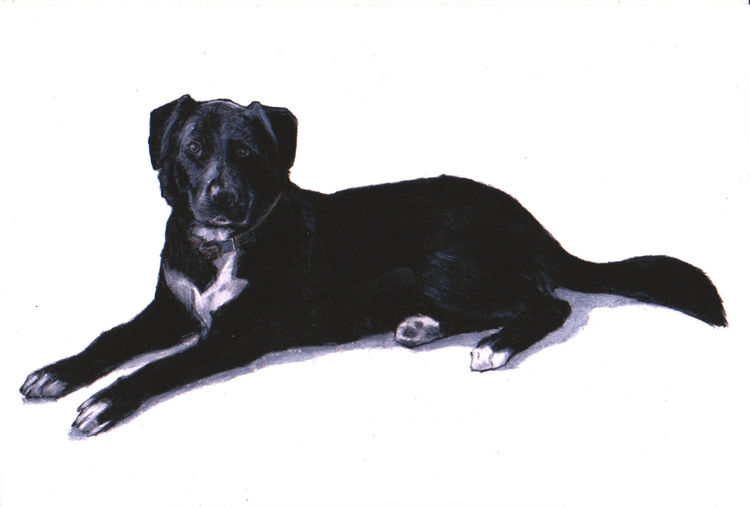 Black Labrador Art Print, Black Lab Art Images,drawing,labrador Wall ...