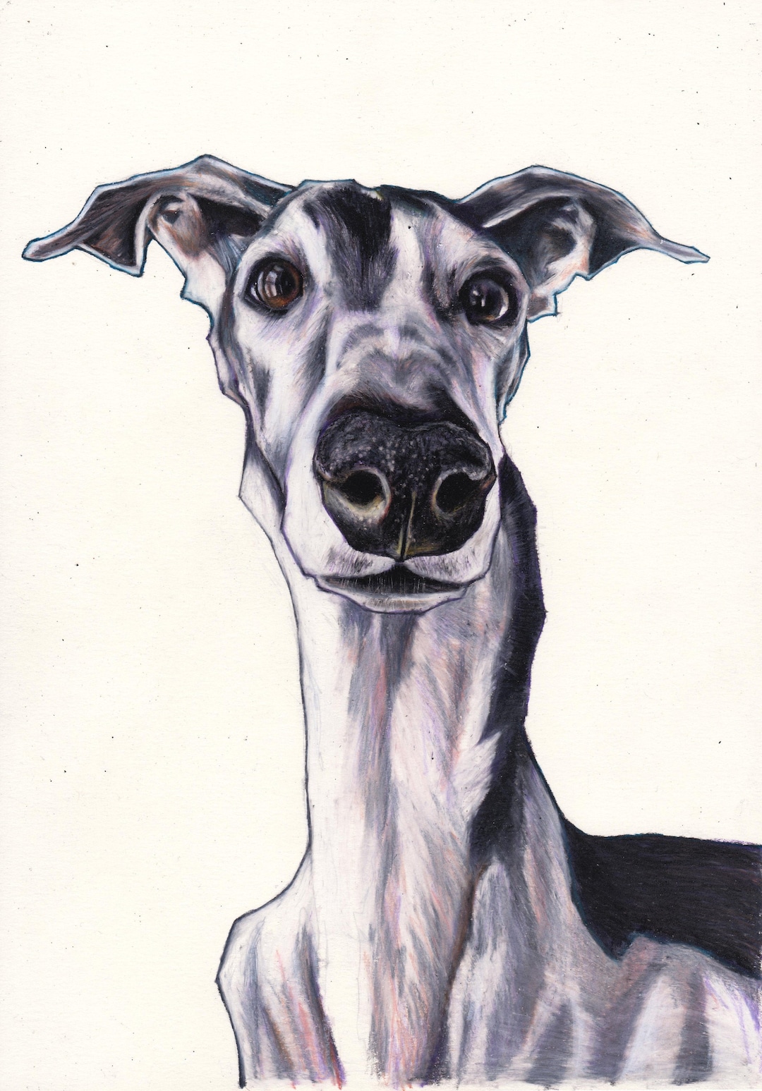 Custom Pet Portrait, Drawing, Bespoke Pet Portrait, Pet Memorial ...