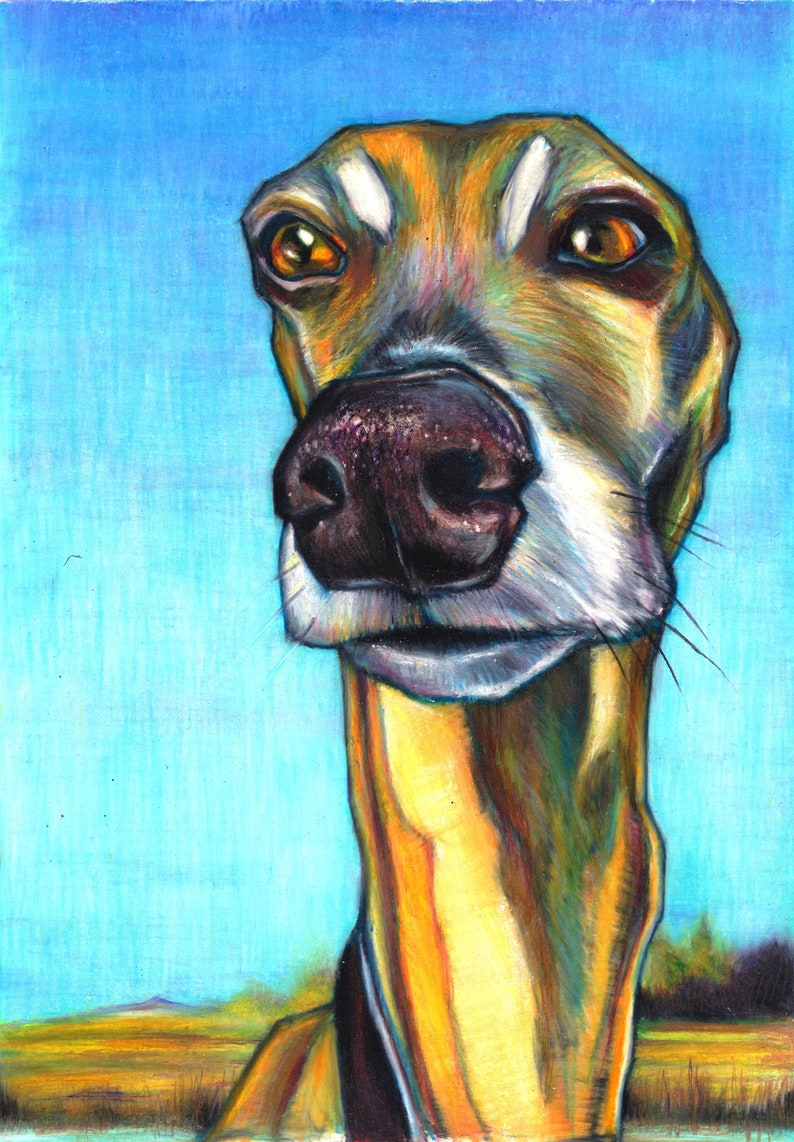 Greyhound Print, Greyhound Drawing, Greyhound Art, Giclée Print ...