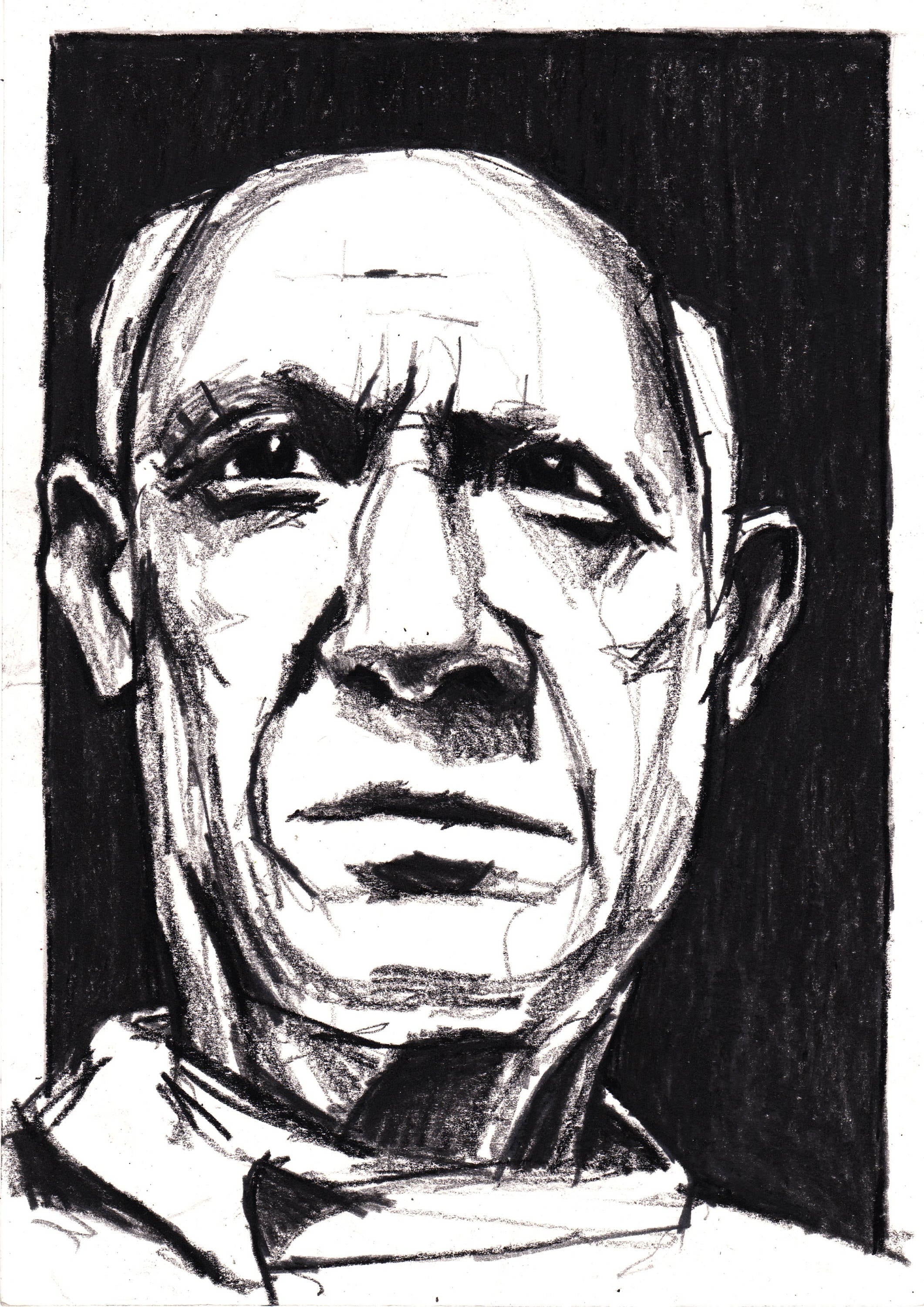 Picasso Portrait Drawing