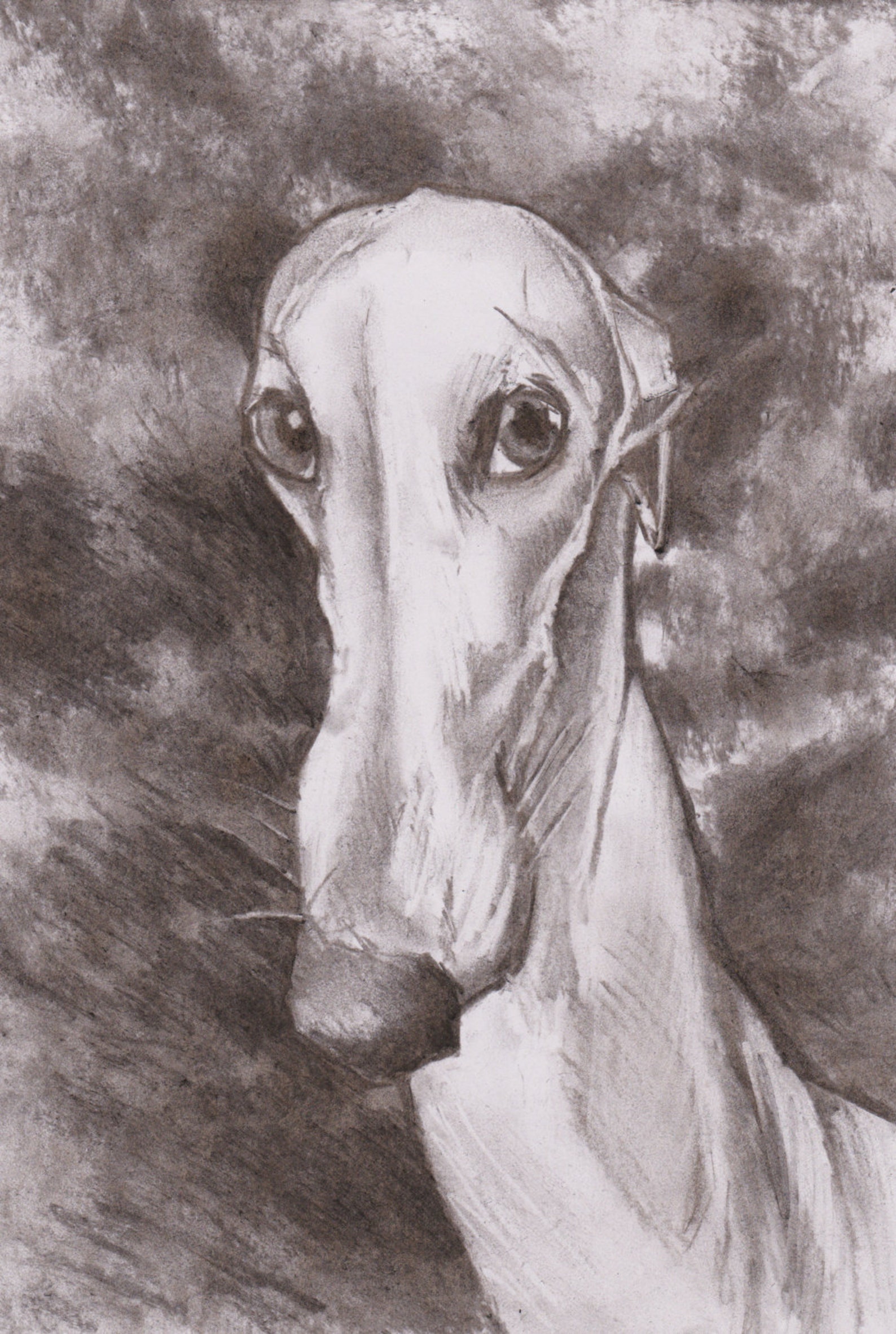 Custom Charcoal Drawing Dog Drawing Dog Wall Art Draw My - Etsy