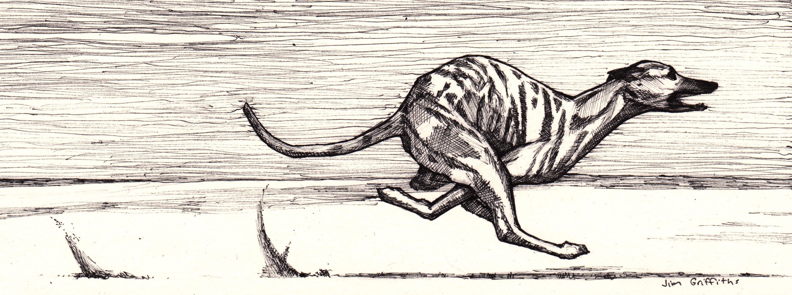 Running Whippet Drawing, a Drawing in Gel Ink and Pigment Fine Liner ...