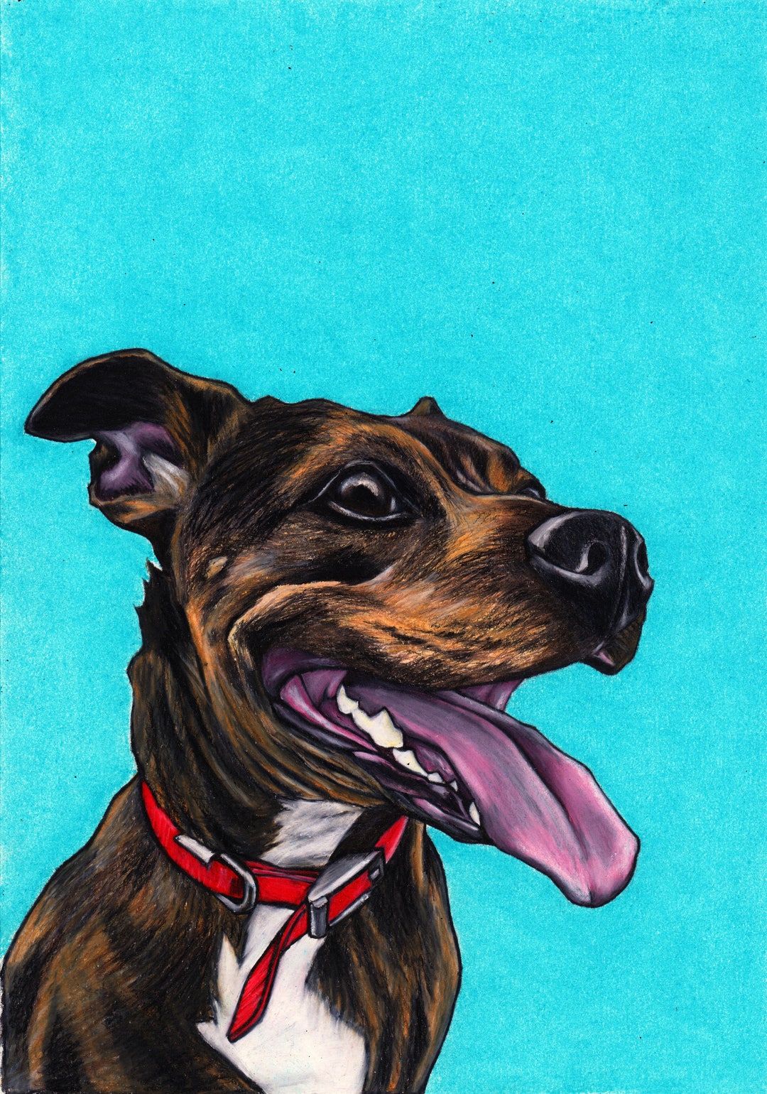 Staffordshire Bull Terrier Print, Staffie, Staffy, Staffordshire Bull ...