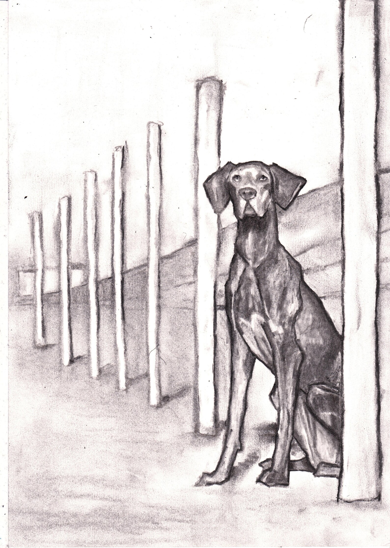 Custom Charcoal Drawing Dog Drawing Dog Wall Art Draw My - Etsy