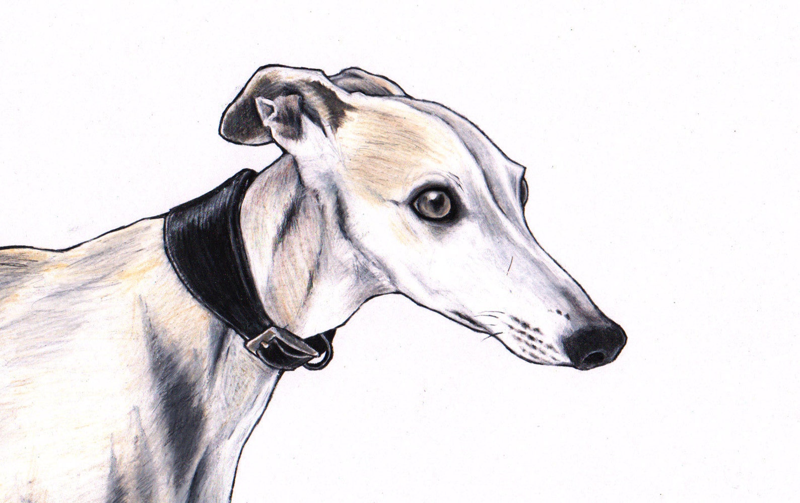 Custom Dog Illustration Commission Dog Art Pet Artcustom - Etsy