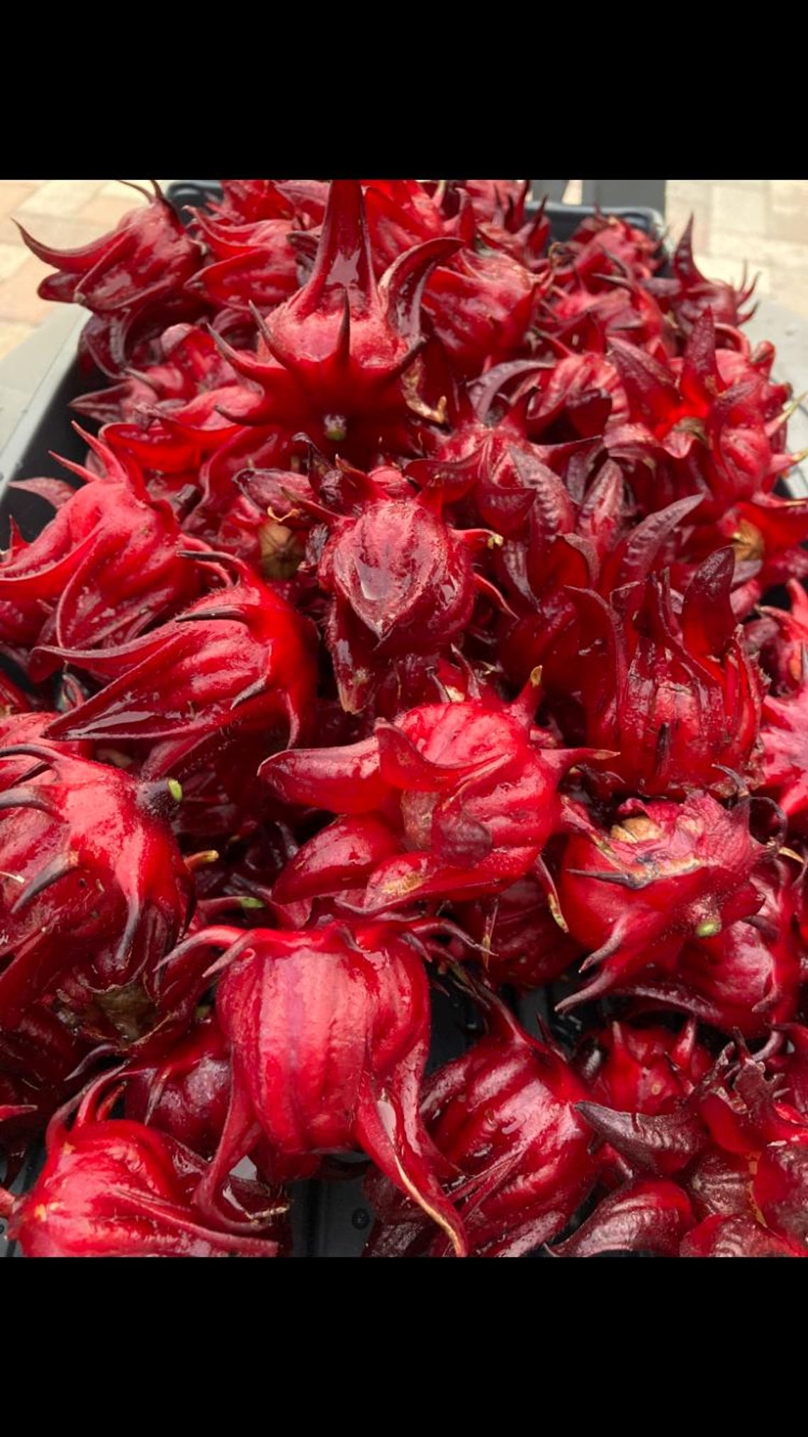 Home-grown Roselle Tea. Passion Hibiscus Tea. - Etsy