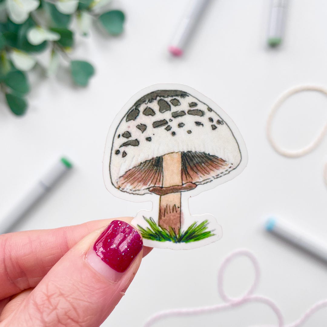 Hand-illustrated Parasol Mushroom Sticker | 2" Stickers | Macrolepiota ...
