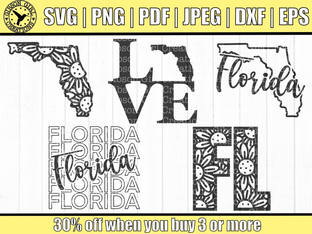 Florida Svg Bundle for Cricut | Florida Designs for Shirts | Florida ...