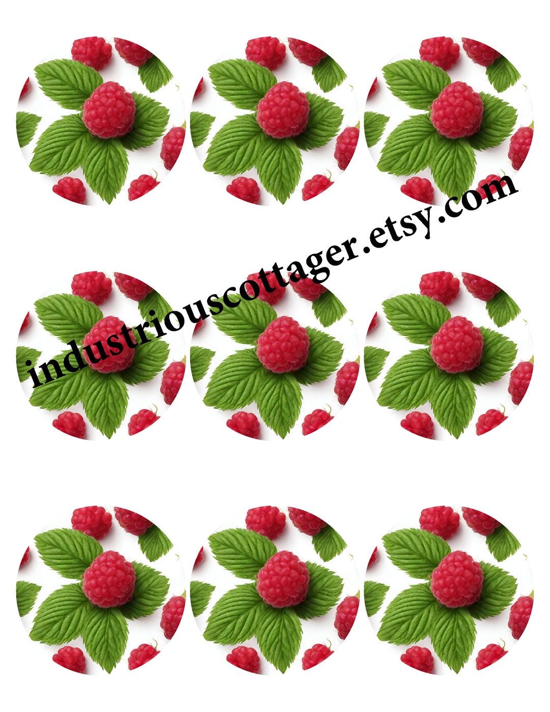 Raspberries Stickers | Summer Stickers | Round Avery 22562 Printables ...