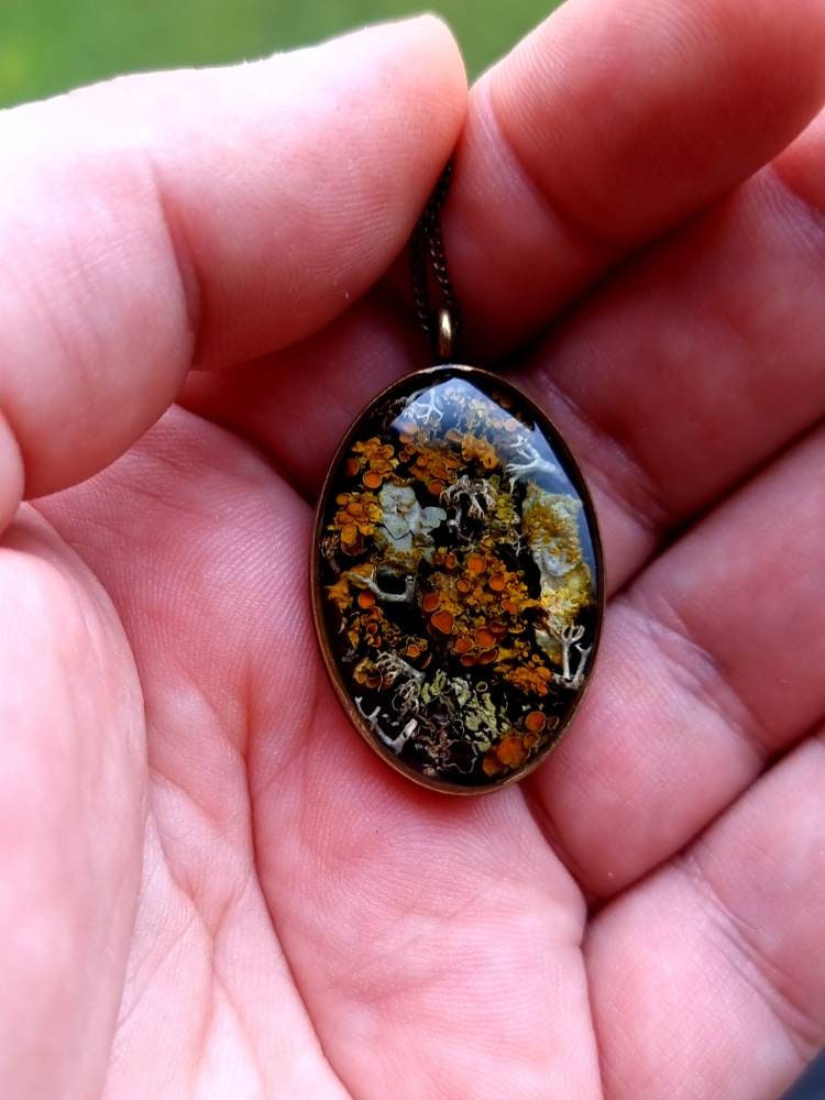 Real Lichen and Moss Necklace Natural Piece of Forest Witch Birthday ...