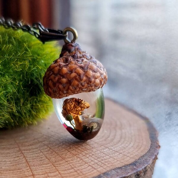 Miniature Acorns - Etsy