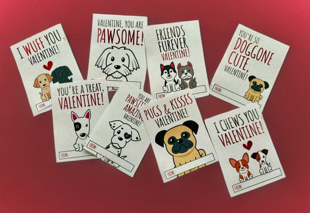 So Doggone Cute Valentine Cards, Puppy Valentine Cards for Kids, Cute ...