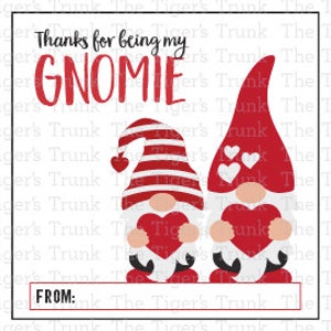 Printable Gnome Valentine Tags, Digital Kids Valentine Tags, 8 Fun ...