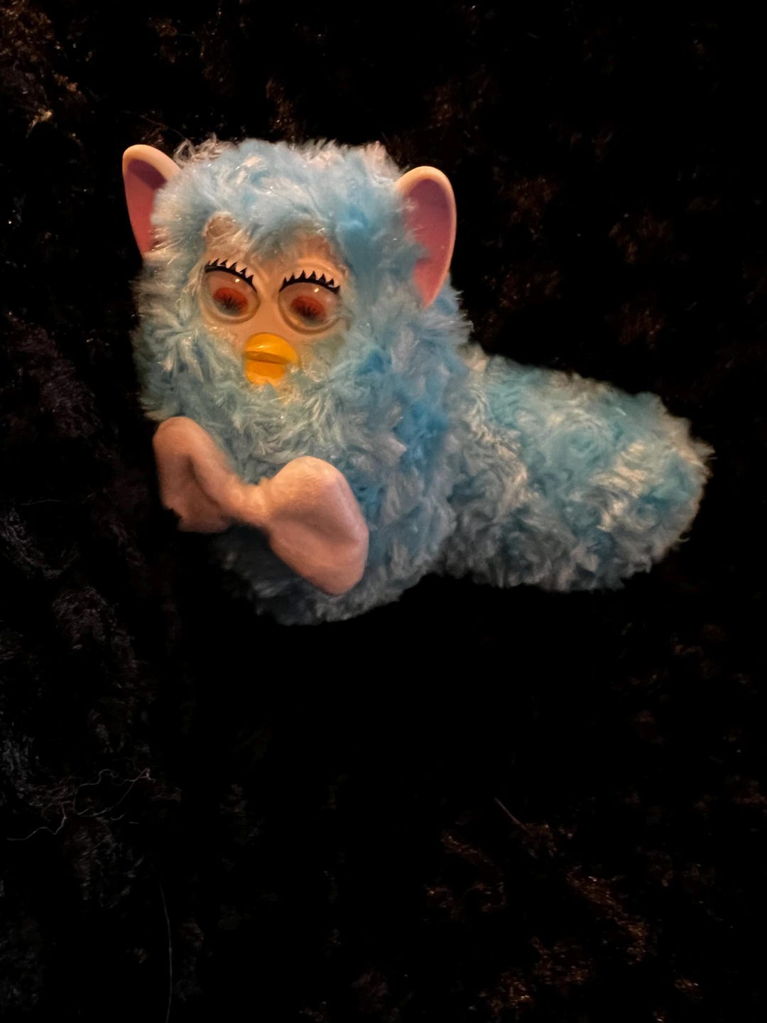 Long Furby - Small Worm Fancy Blue and White Squeaky Boi (small Long ...