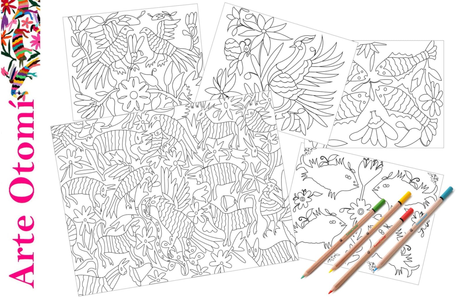 Adult Coloring E Sheets. Five Illustrations Inspired by Real - Etsy