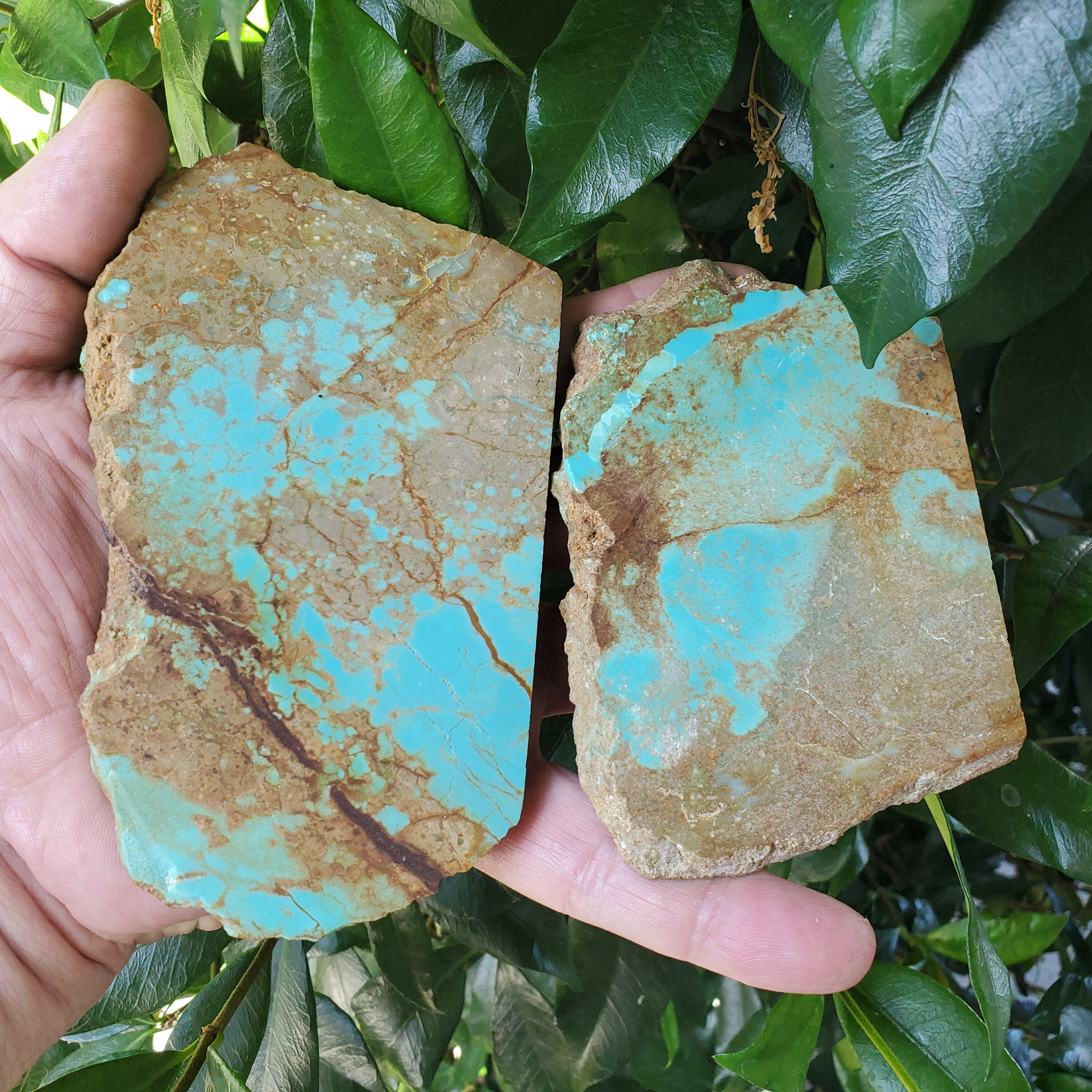 2 Big Kingman Turquoise Slabs - Etsy