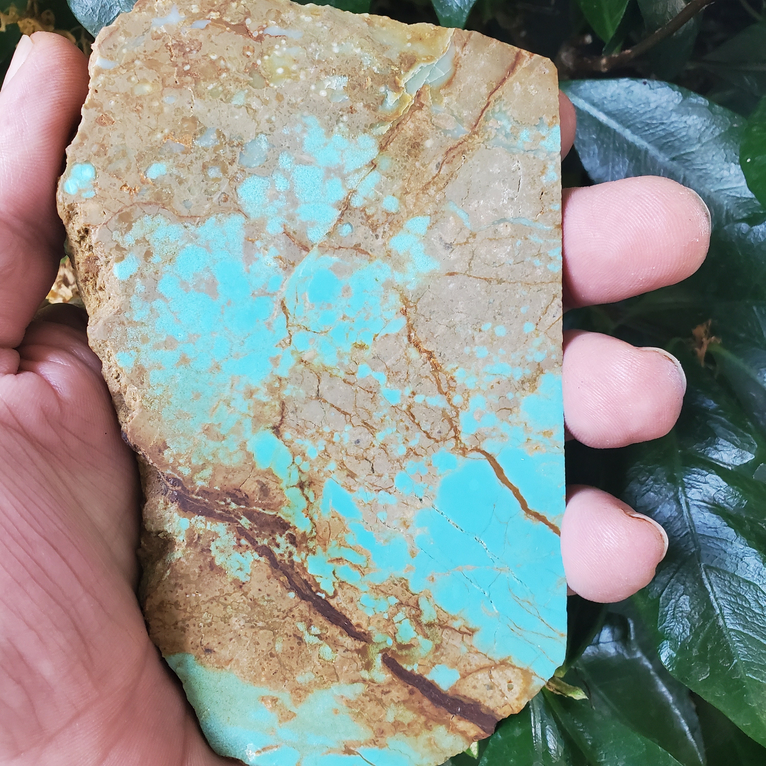 2 Big ------ Kingman Turquoise Slabs - Etsy