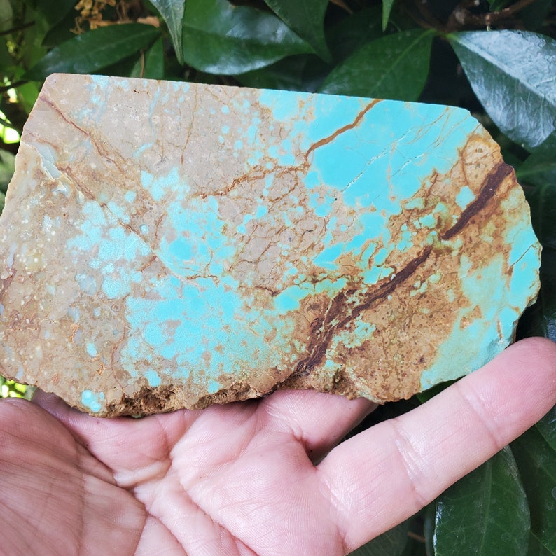 2 Big ------ Kingman Turquoise Slabs - Etsy