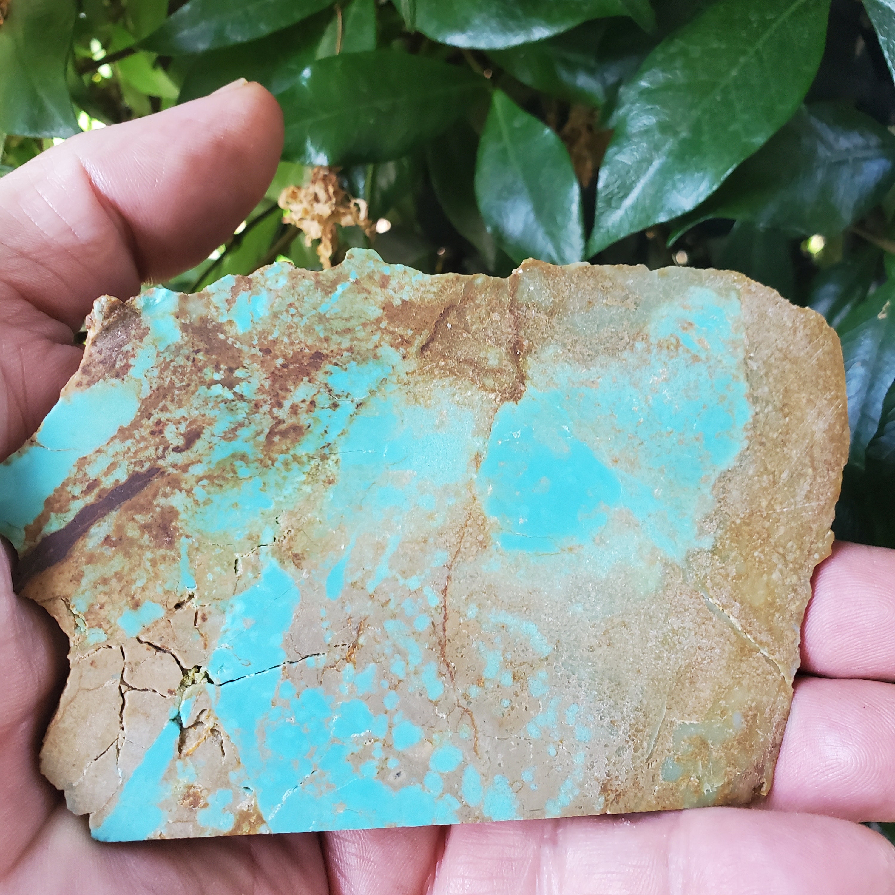 2 Big ------ Kingman Turquoise Slabs - Etsy