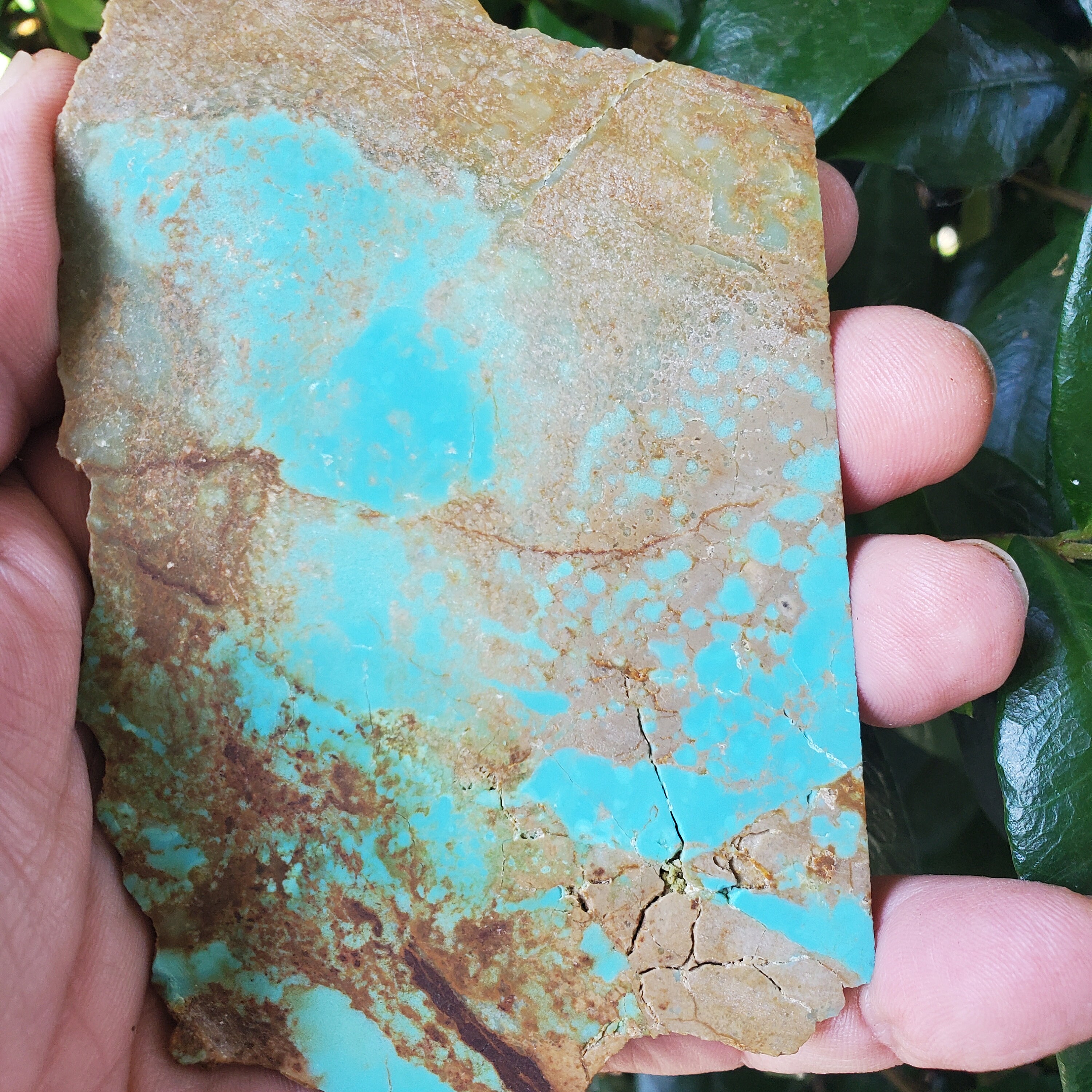2 Big Kingman Turquoise Slabs - Etsy