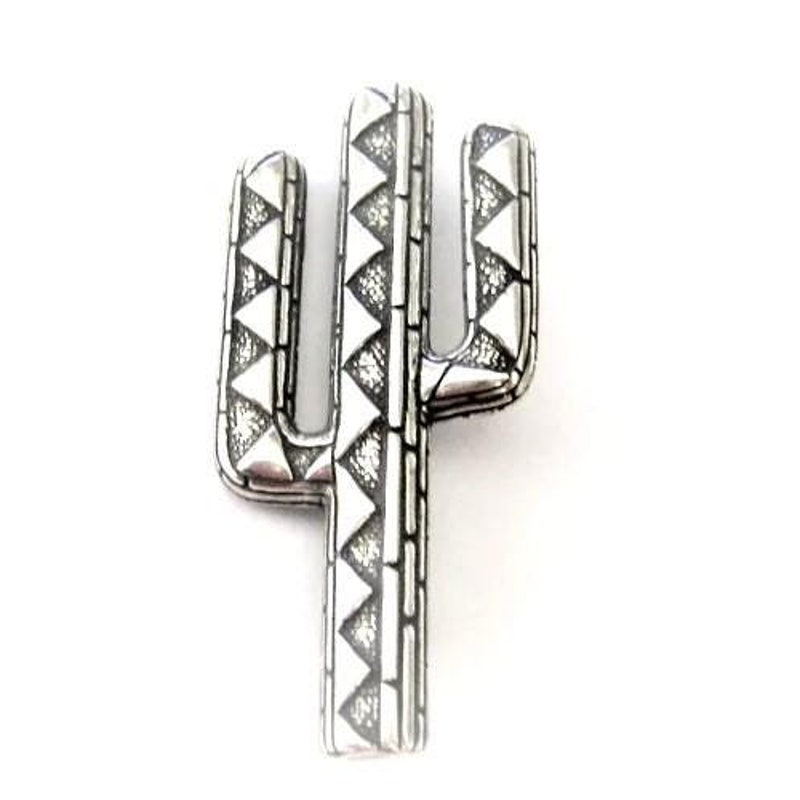 Cactus Pin - Etsy