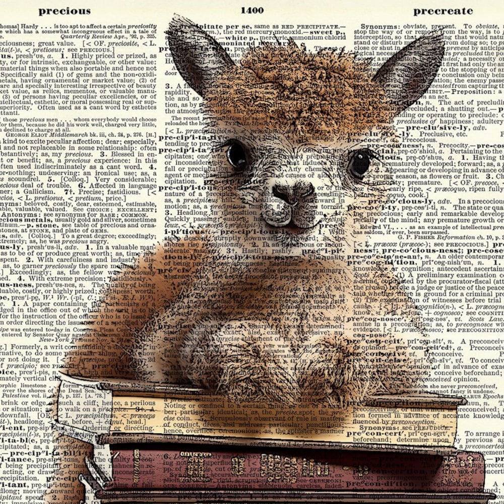 BookwormSalon - Etsy