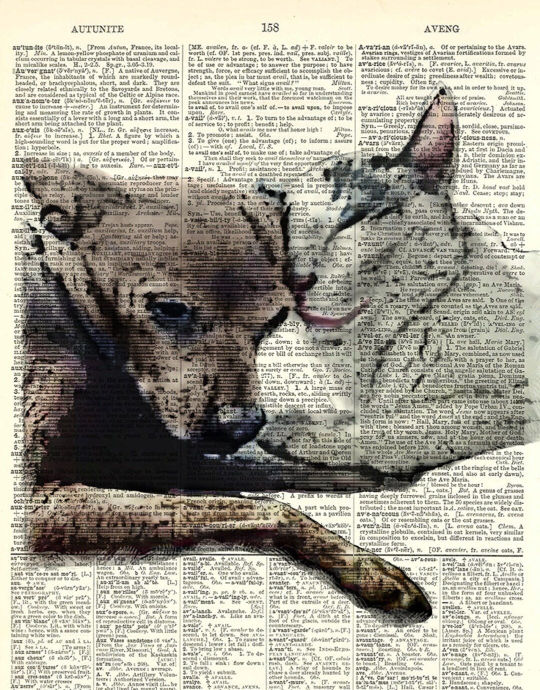 CUSTOM Double Pet Portrait Print With Color. Vintage Book Page Art ...