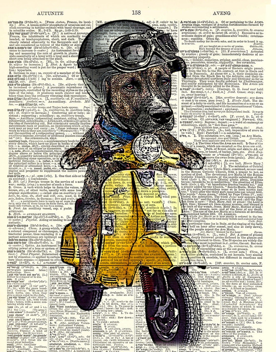 Dog Riding Scooter