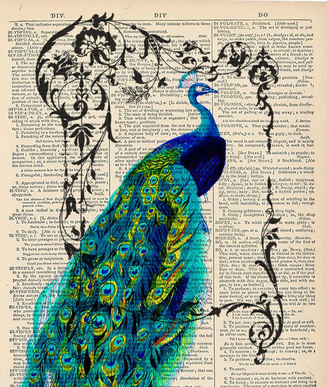 Peacock Vintage Page Print. Vintage Book Page Art Print. Print on Book ...