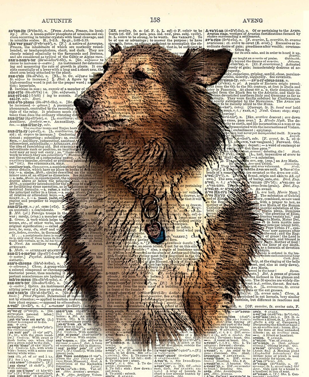 CUSTOM Pet Portrait Print - Black With Color. Vintage Book Page Art ...