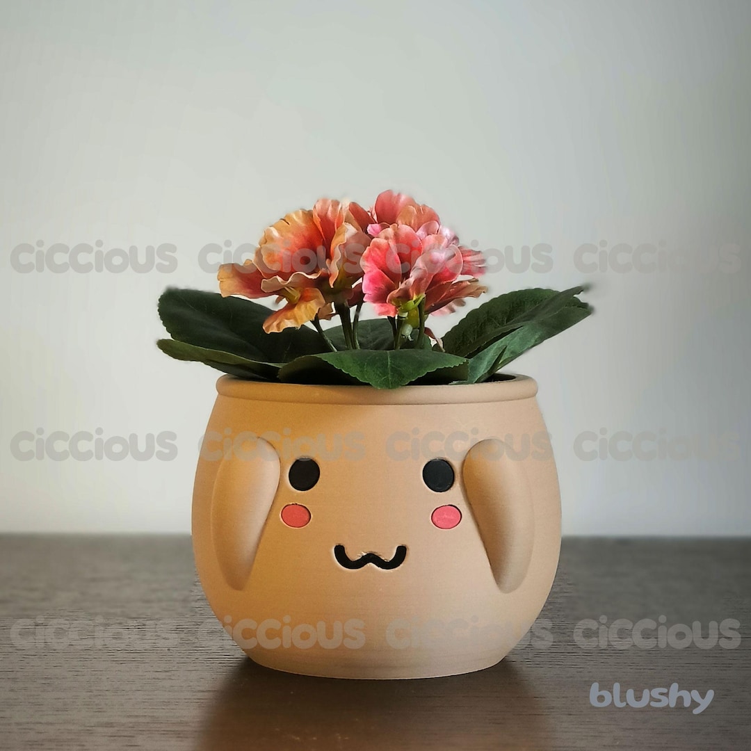 Blushy - Cute 3D Printed Planters | Adorable Ciccious Pots for Fake or ...